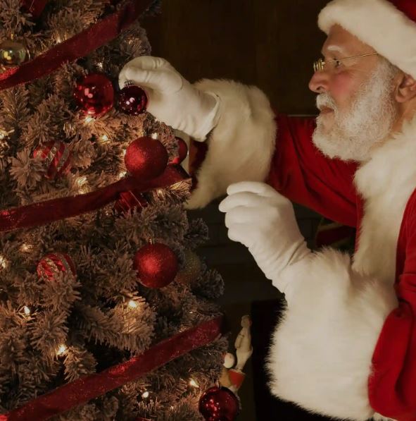 How to decorate a Tree like a Professional – Santa's Warehouse