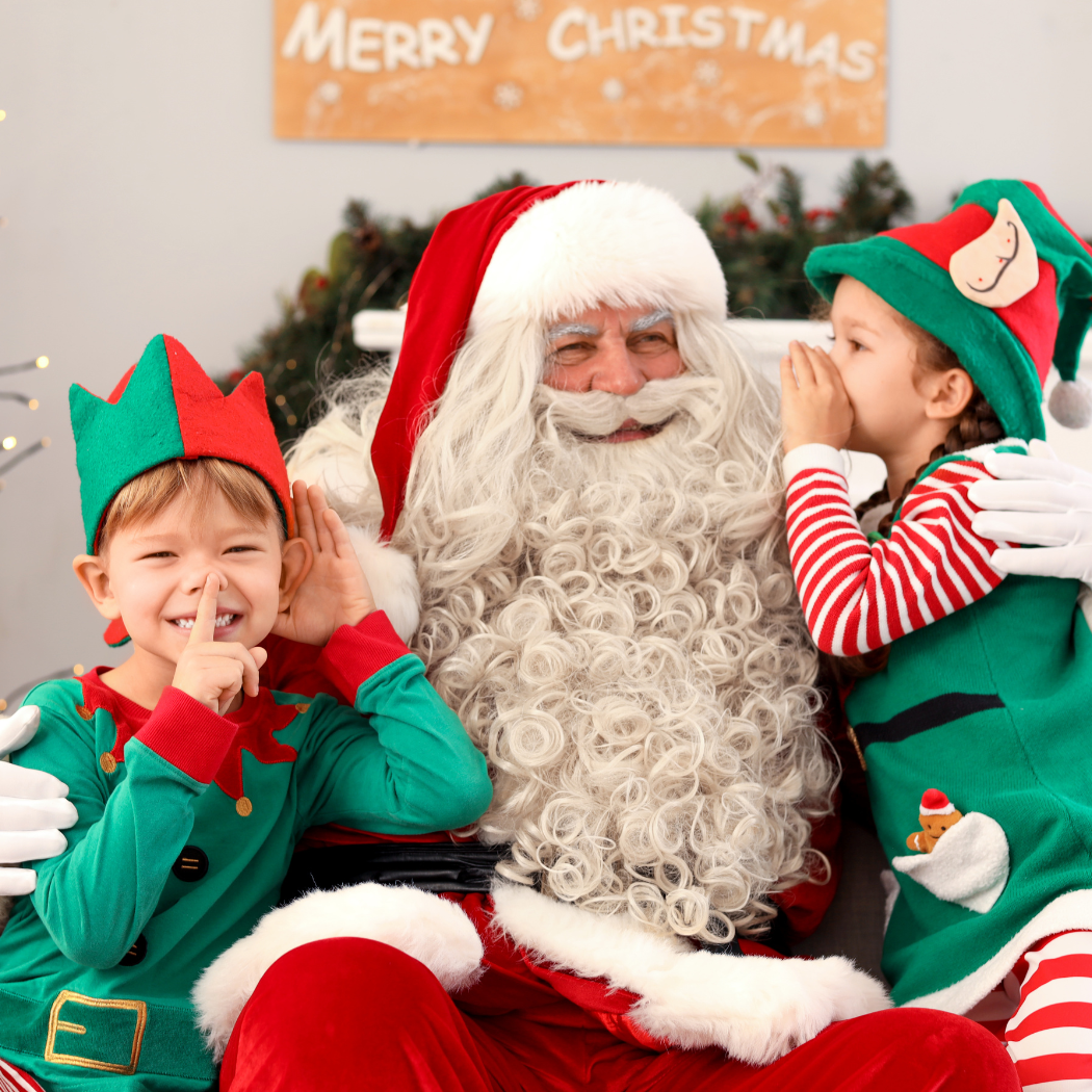 Elves – Santa's Warehouse